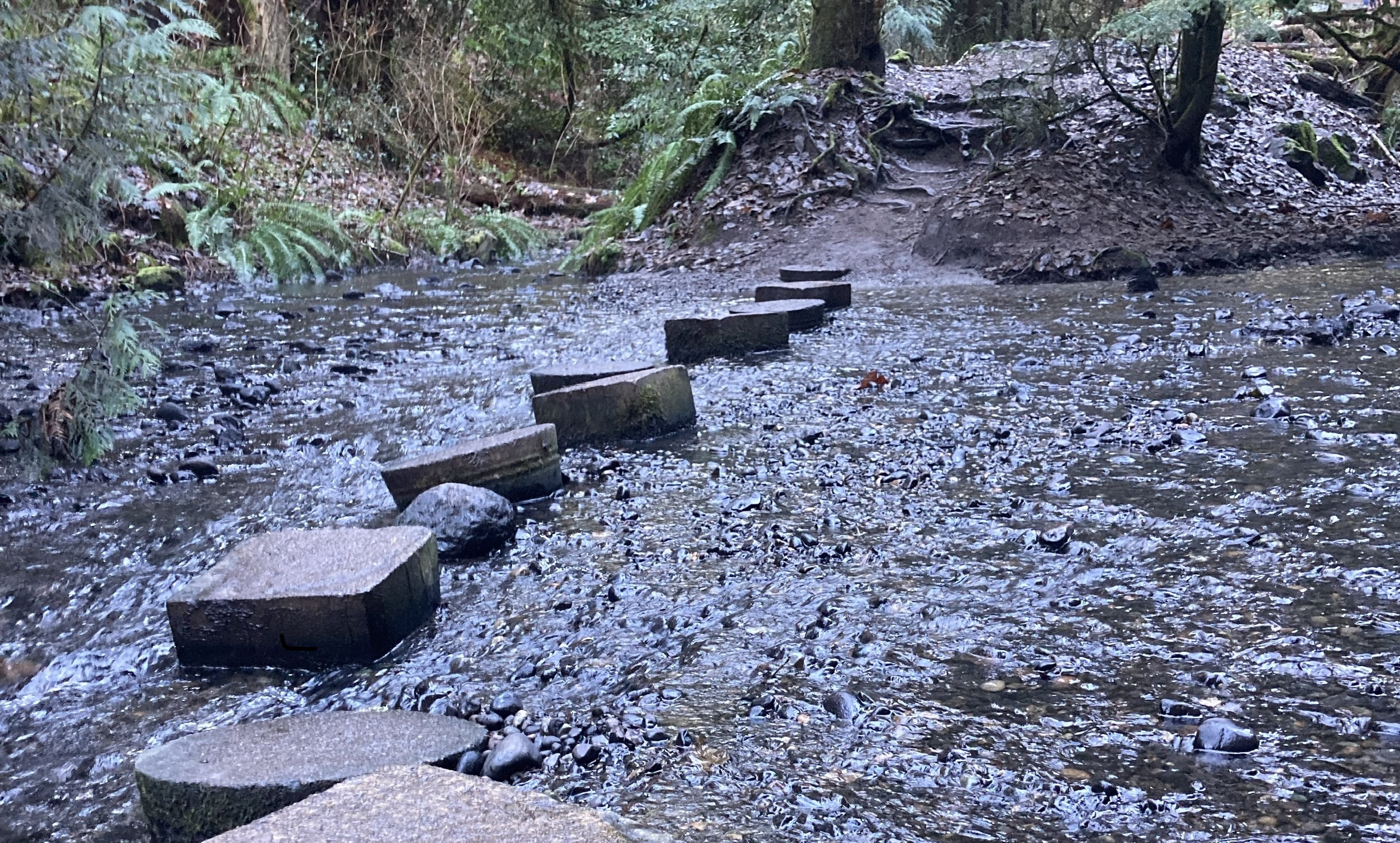 The cost of staying the same is higher than the cost of change – Steve ...