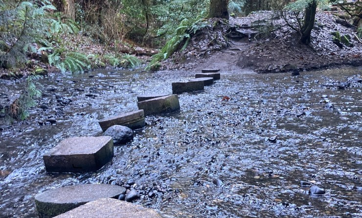 The cost of staying the same is higher than the cost of change – Steve ...